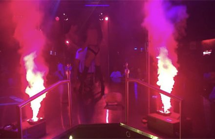 kingdom-bachelor - Le cabaret KINGDOM - Gentleman's Club - Le numéro 1 ...